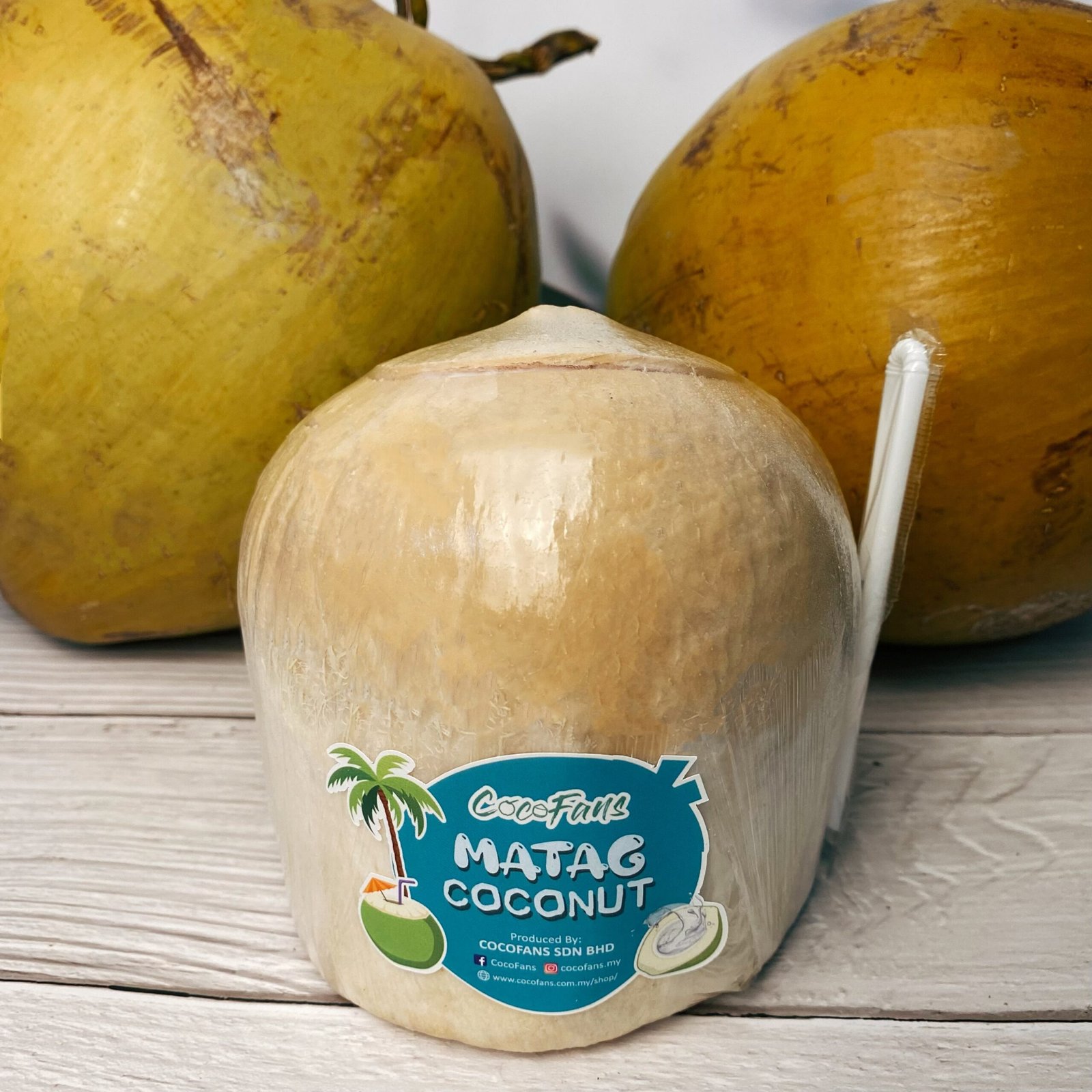 Semi Polish Fresh Matag Coconut | CocoFans Sdn Bhd